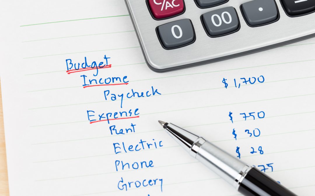 Debt Free Living How To Set Up A Budget EveryIncome Library